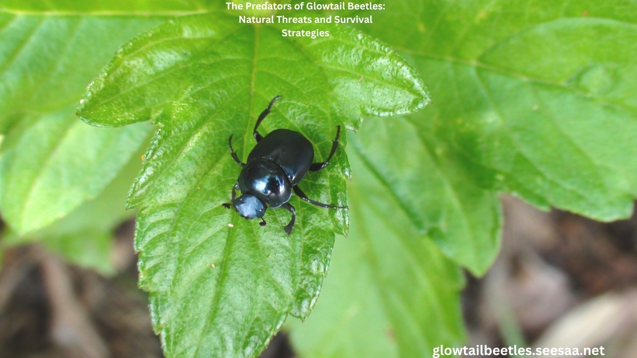 The Predators of Glowtail Beetles: Natural Threats and Survival ...
